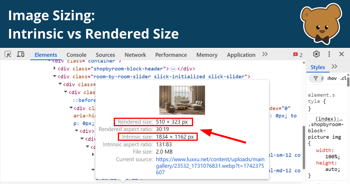 Image Sizing: Intrinsic vs. Rendered Size | DebugBear
