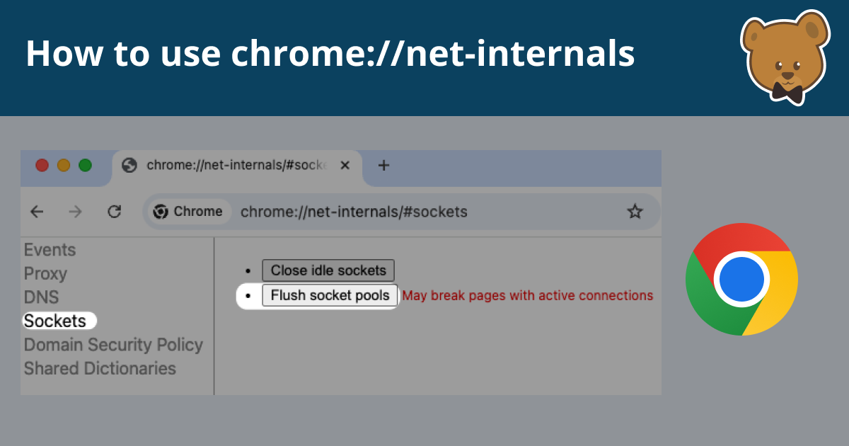 Clear connection and DNS caches in chrome://net-internals | DebugBear